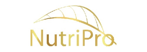 ช้อปทันที ส่งฟรีทั่วไทย!! ช้อปปิ้งออนไลน์ สินค้าสุขภาพและความงาม ครีม ...