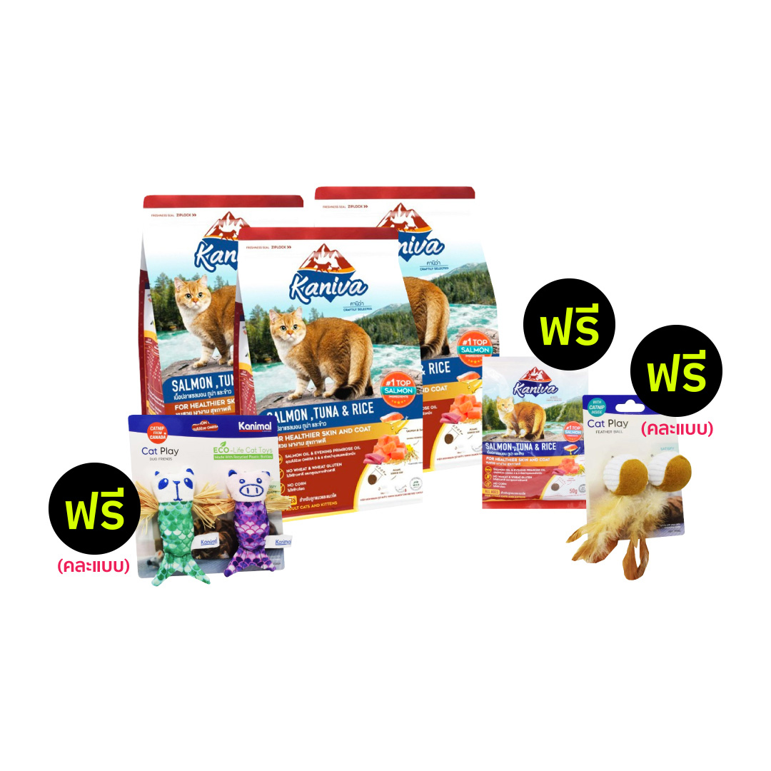 อาหารแมว